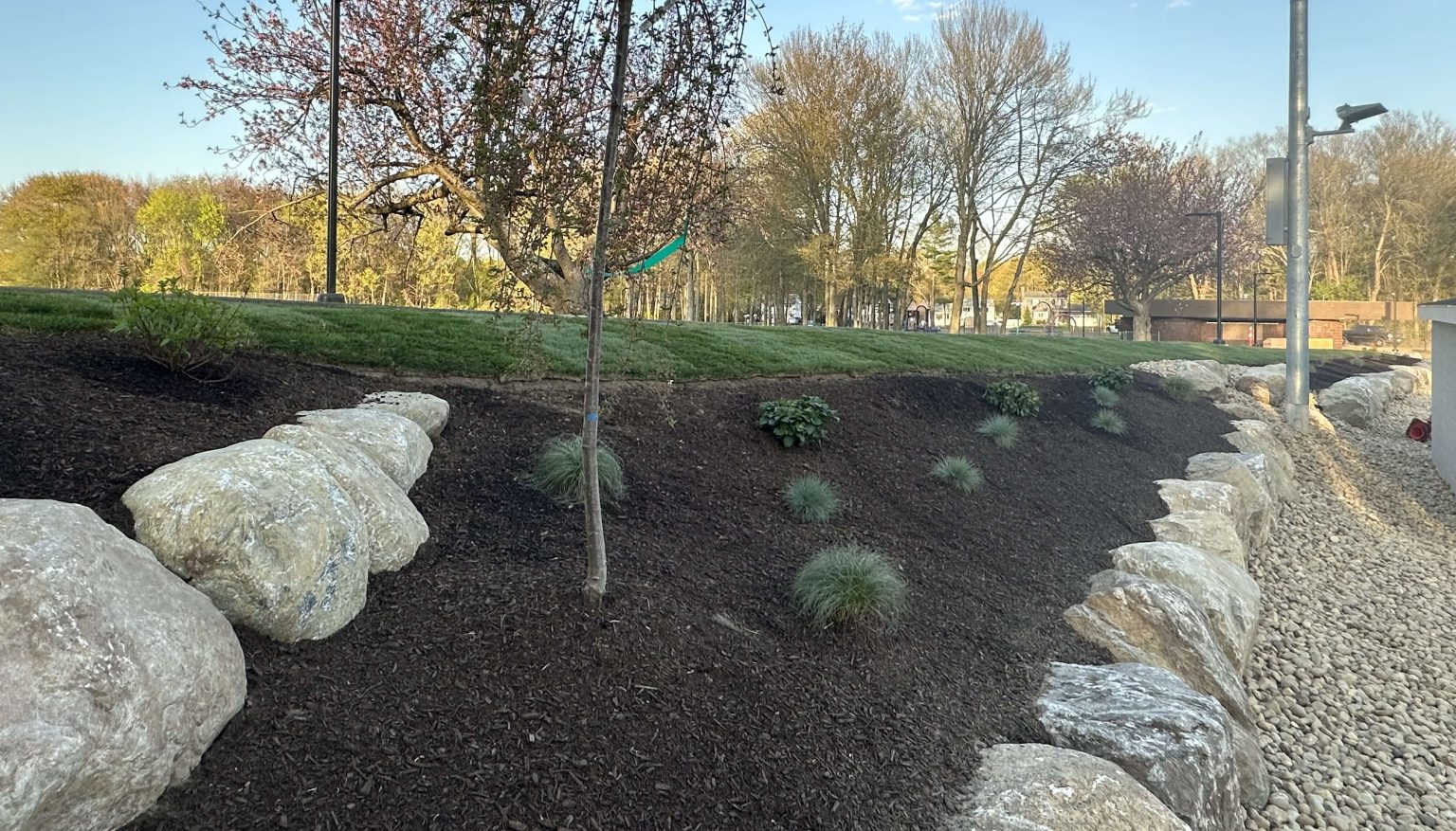 Using Native Plants in Connecticut - Bellingrath Bros. Landscape & Design